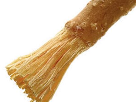 Siwaak – The Forgotten Sunnah -By Asma bint Shameem