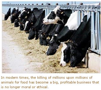 Considering Alternatives to the Animal Sacrifice? Reflections on Eidul ...