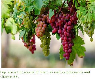 Foods of the Prophet: Part 2/5 Fruits and Vegetables of the Prophet By ...