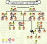 Mahram Chart for Women in Islam | Sri lanka Muslims Web Portal
