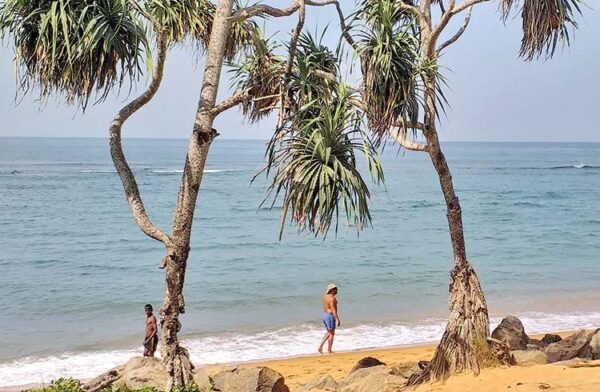 The story of Wellawatte